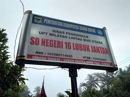 Unik, Nama 11 Jorong di Nagari Ini Terinspirasi dari Bunga - Kata Sumbar